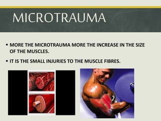 Muscular hypertrophy | PPTX