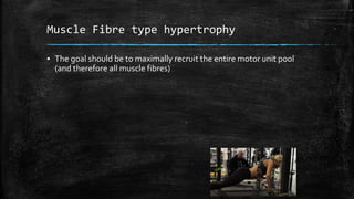 Muscular hypertrophy presentation | PPTX