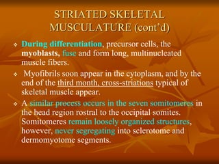 Muscular Integumentary system.ppt