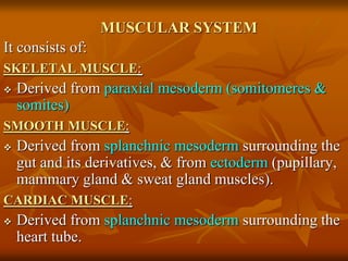 Muscular Integumentary system.ppt