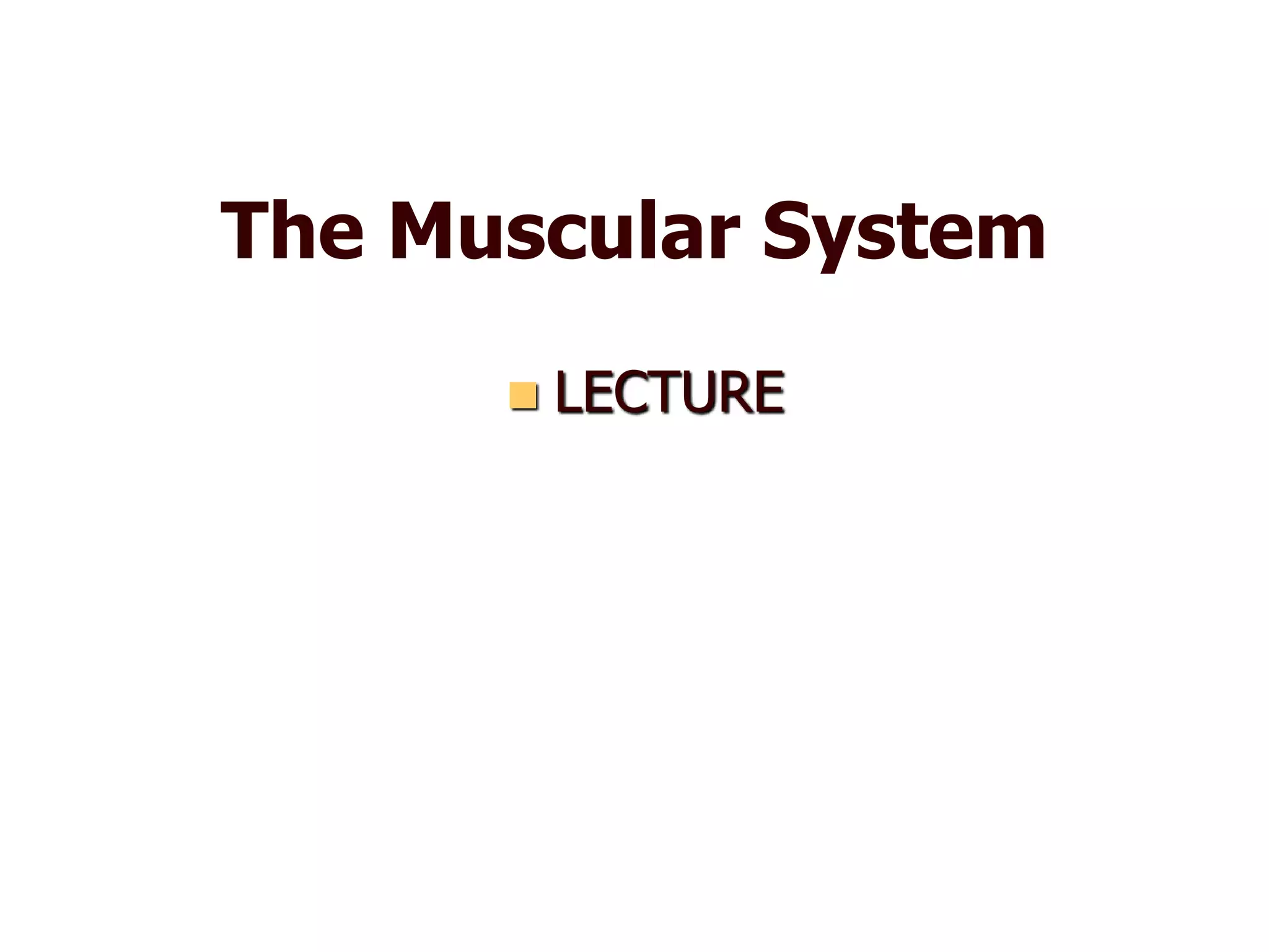 Muscular system Physiology | PPT | Heart and Cardiovascular Diseases ...