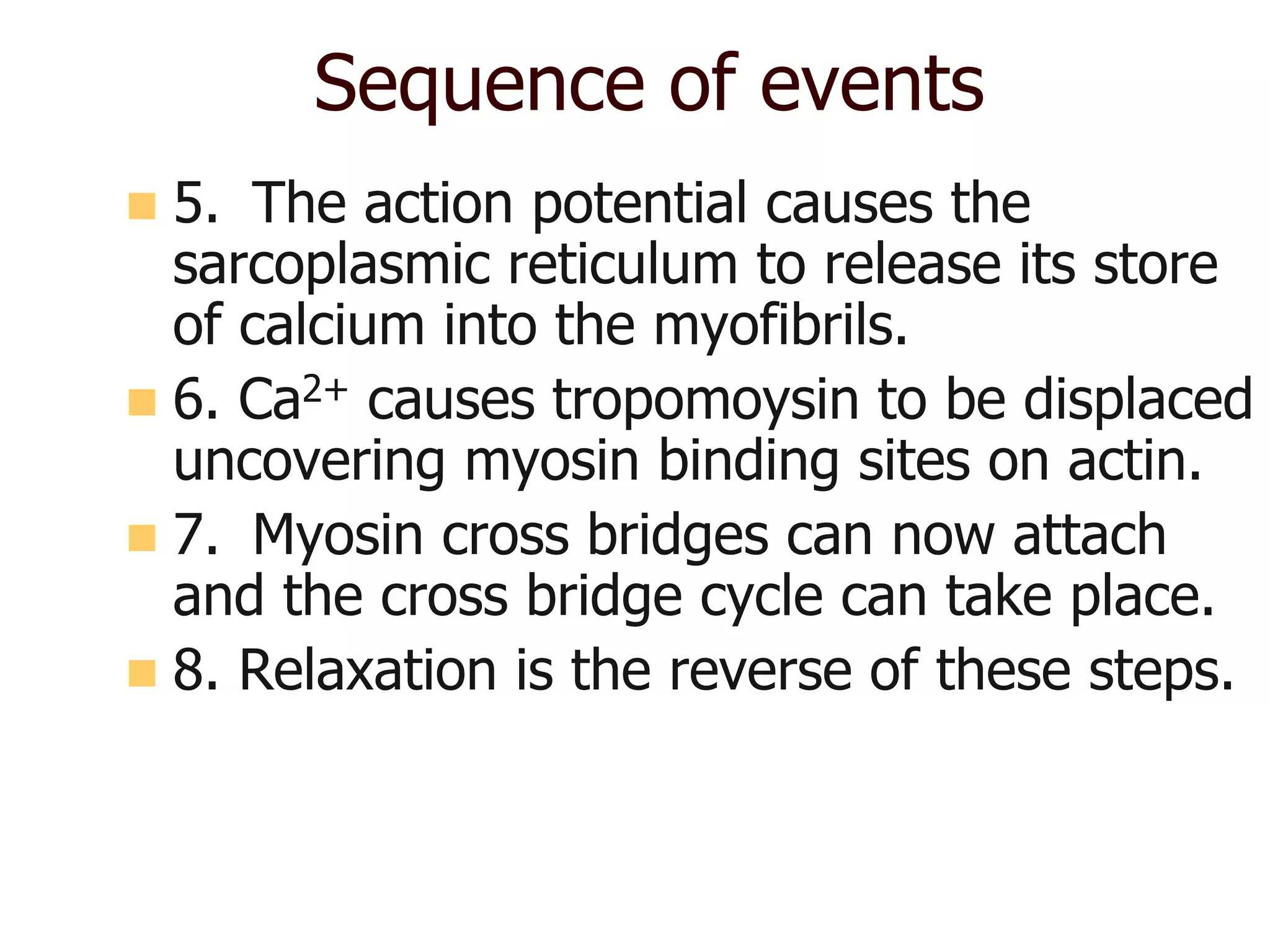 Muscular system Physiology | PPT