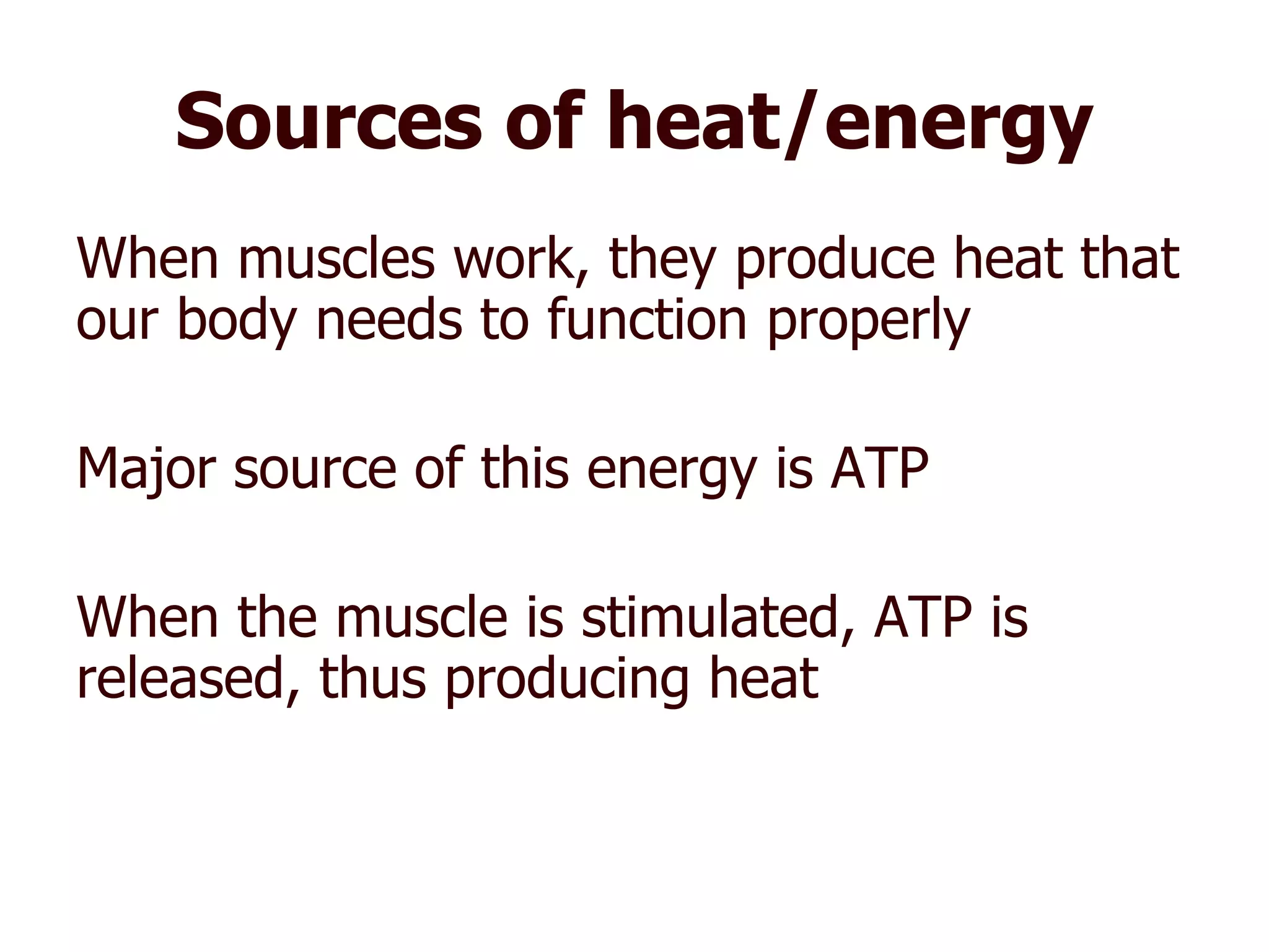 Muscular system Physiology | PPT