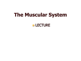 Muscular system Physiology | PPT