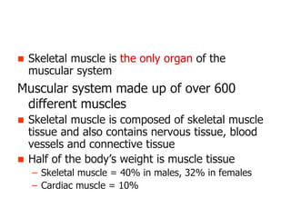 Muscular system Physiology | PPT