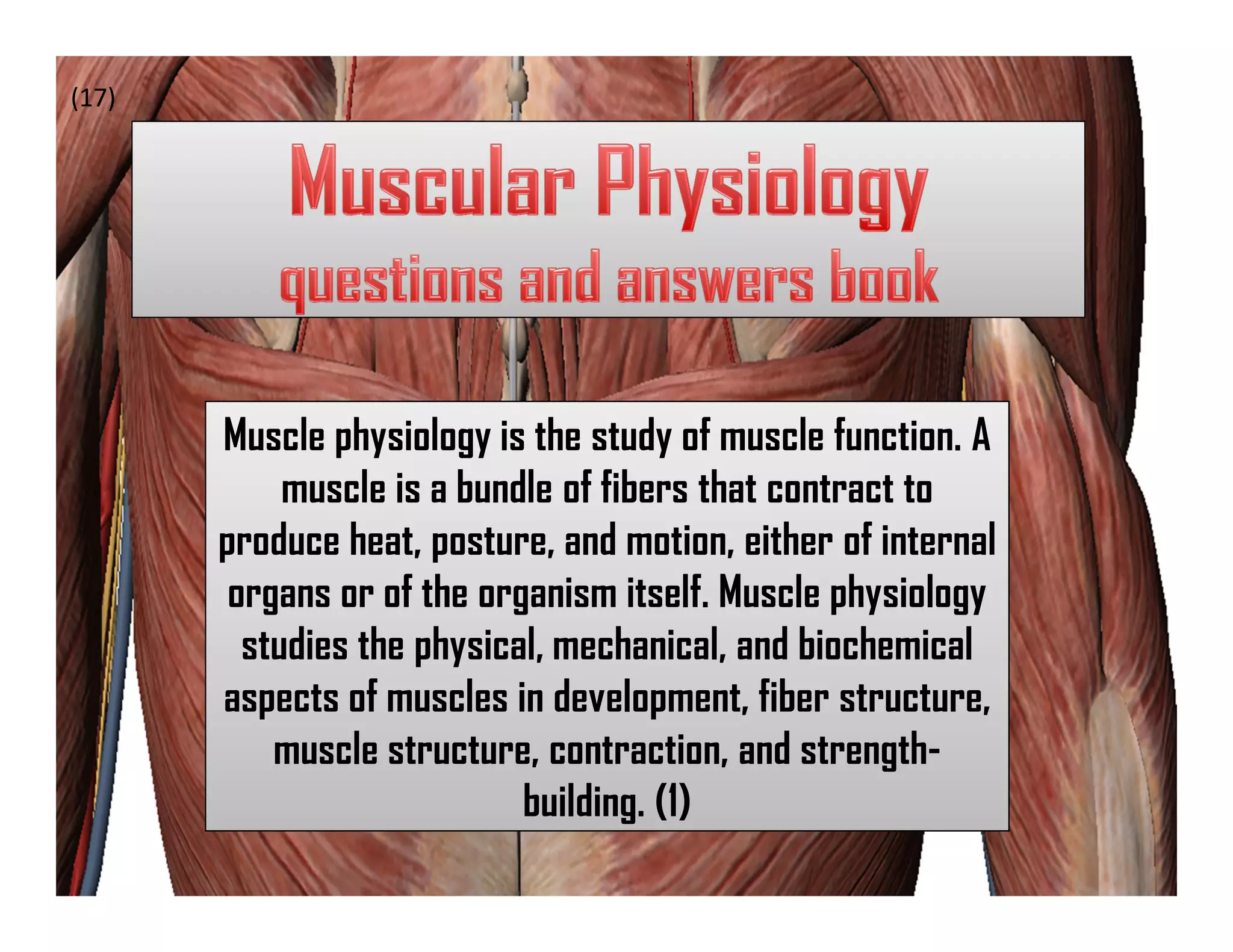 Muscular physiology | PPT