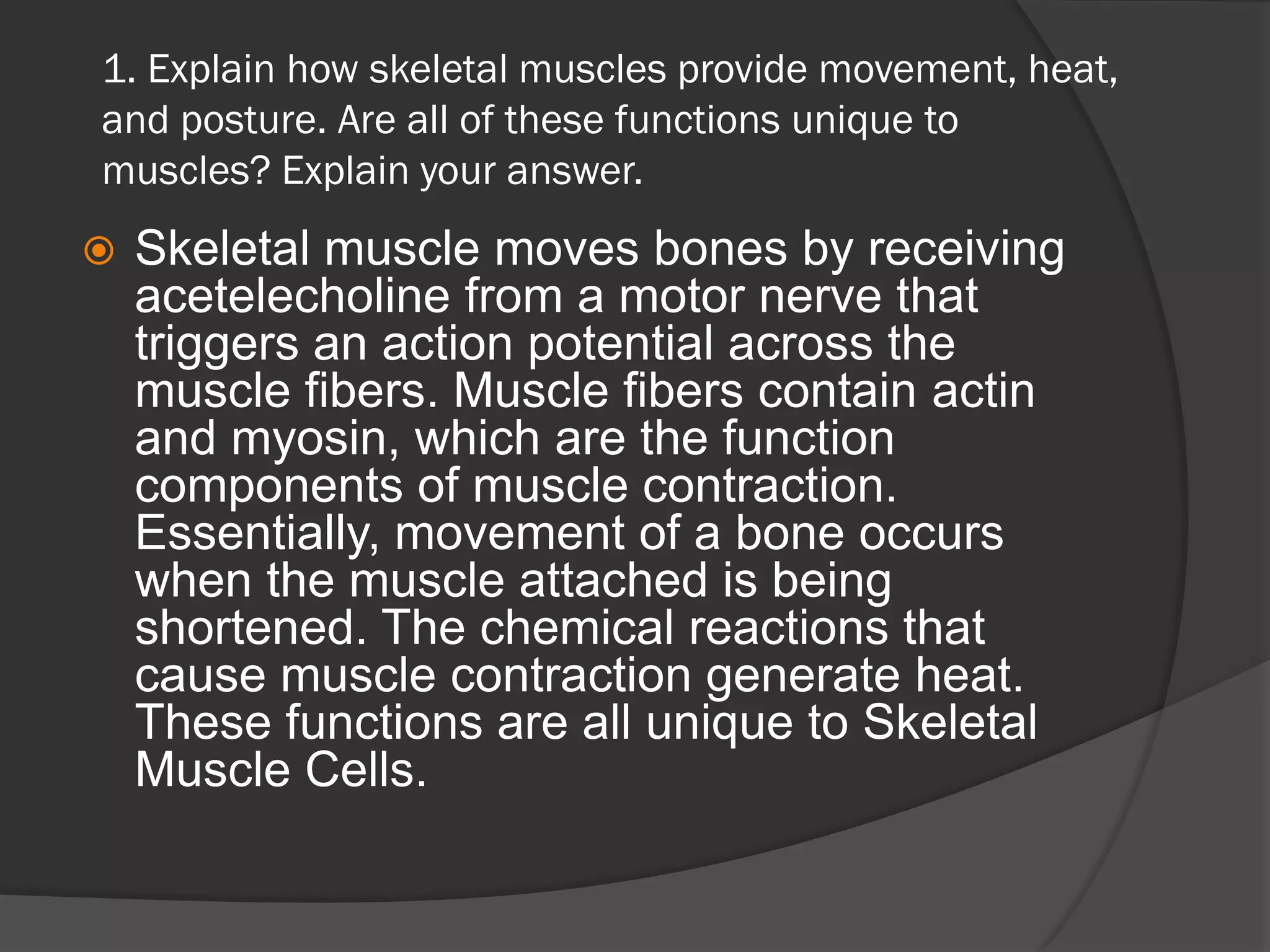 Muscular physiology | PPTX