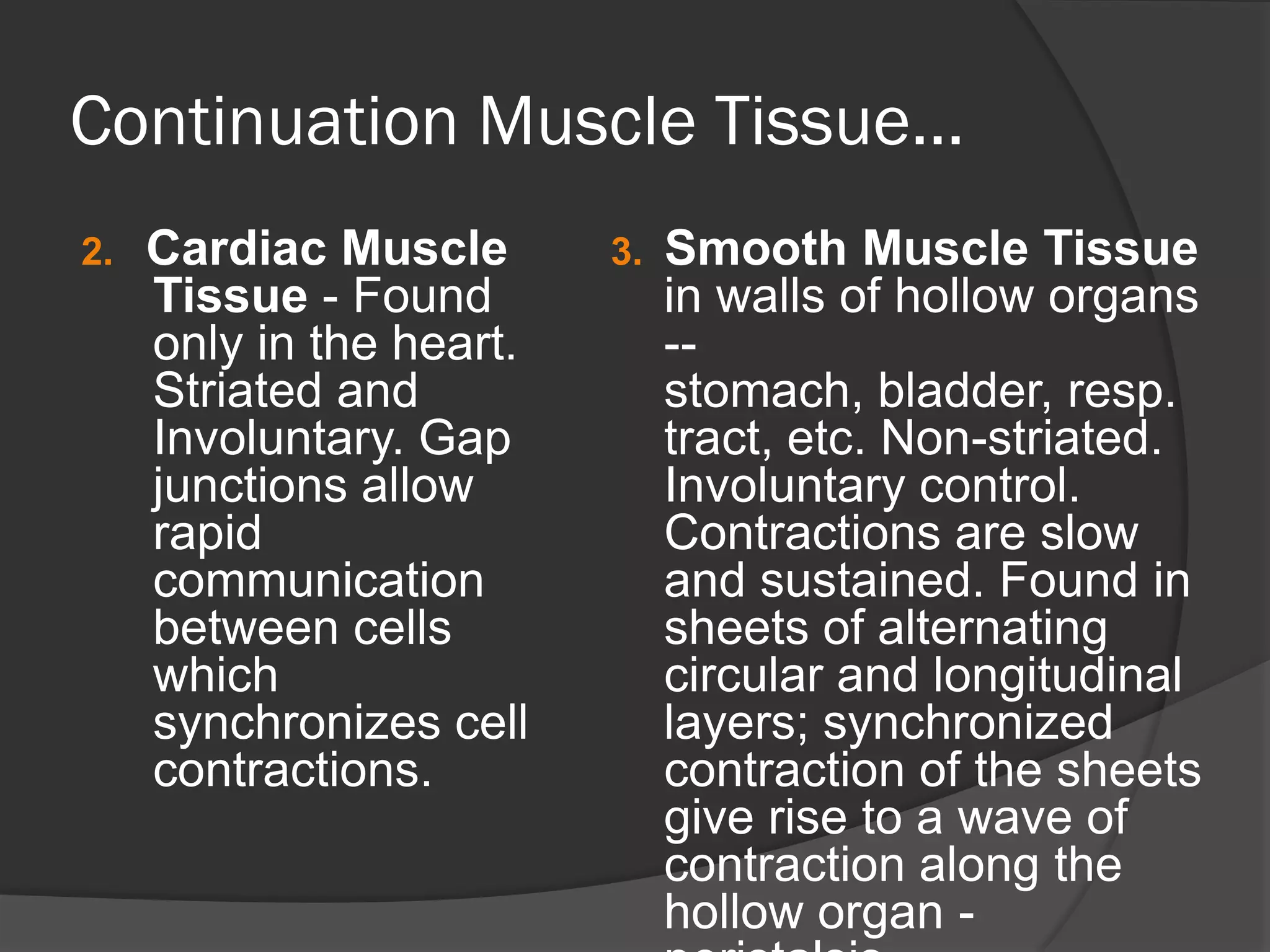 Muscular physiology | PPTX