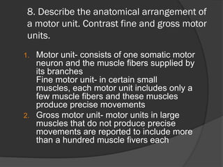 Muscular physiology | PPTX