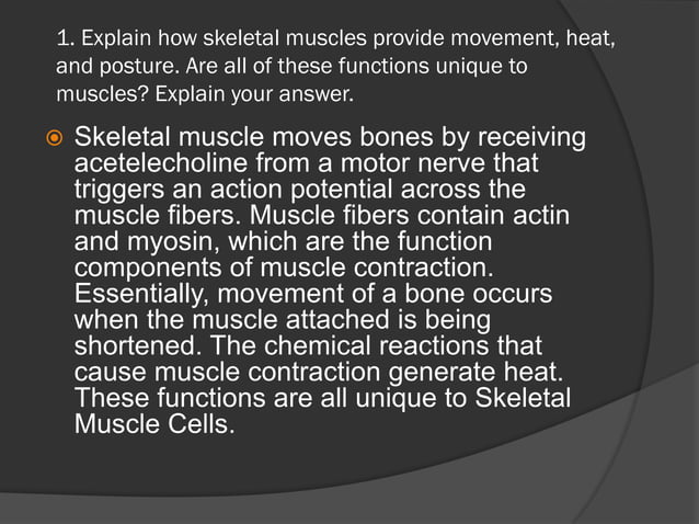 Muscular physiology | PPTX