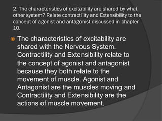 Muscular physiology | PPTX