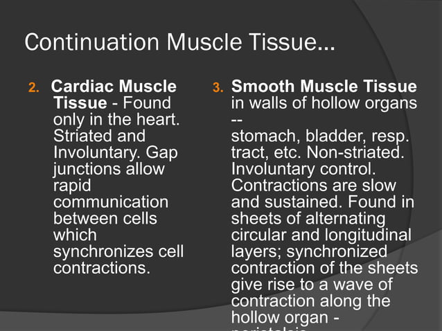 Muscular physiology | PPTX