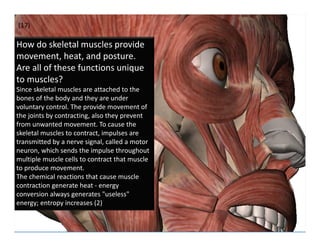 Muscular physiology (2) | PPT