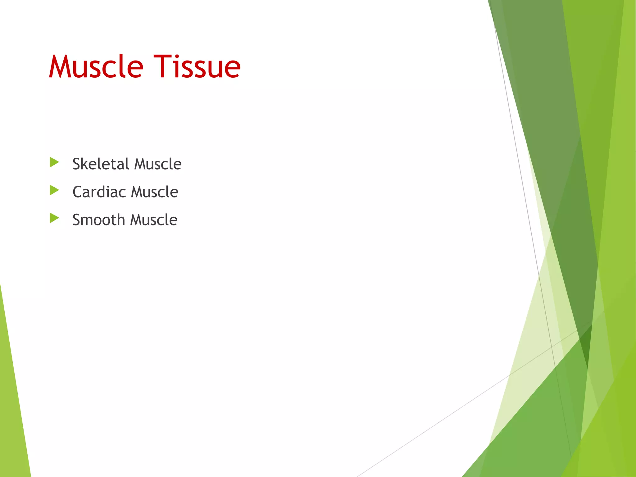 Muscular physiology | PPT