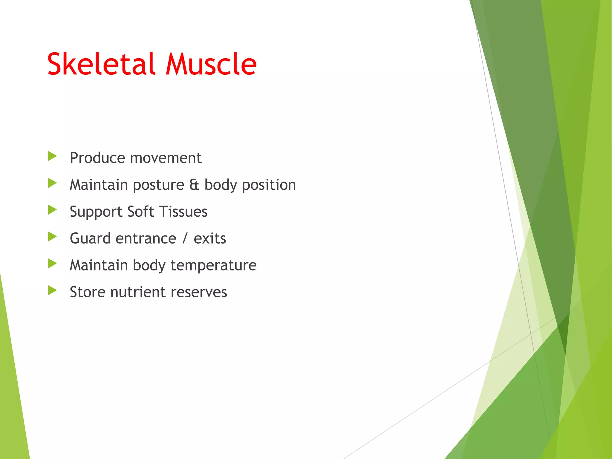 Muscular physiology | PPT