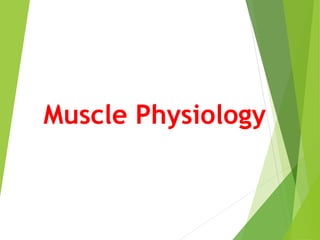 Muscular physiology | PPT