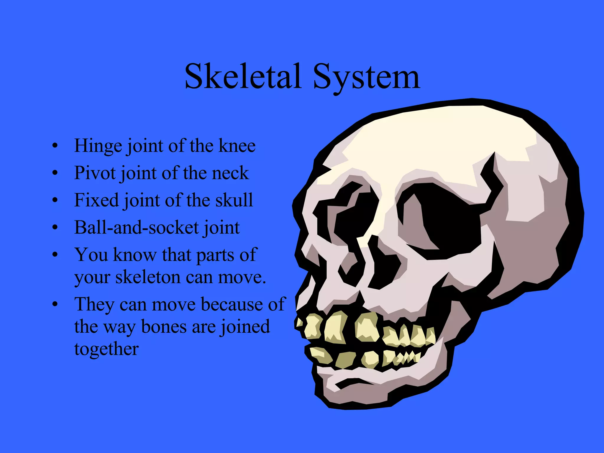 Muscular Skeletal System | PPT