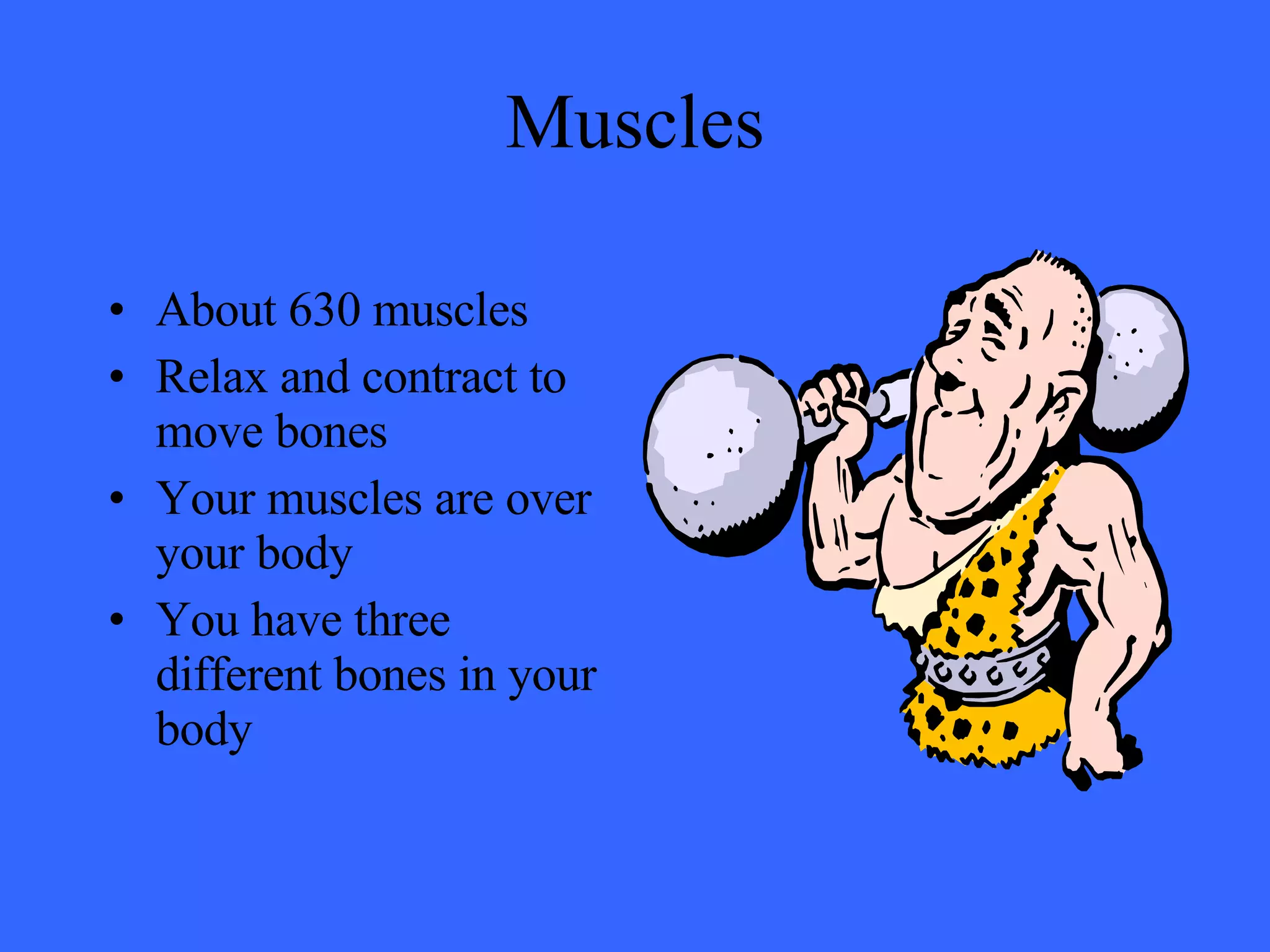 Muscular Skeletal System | PPT