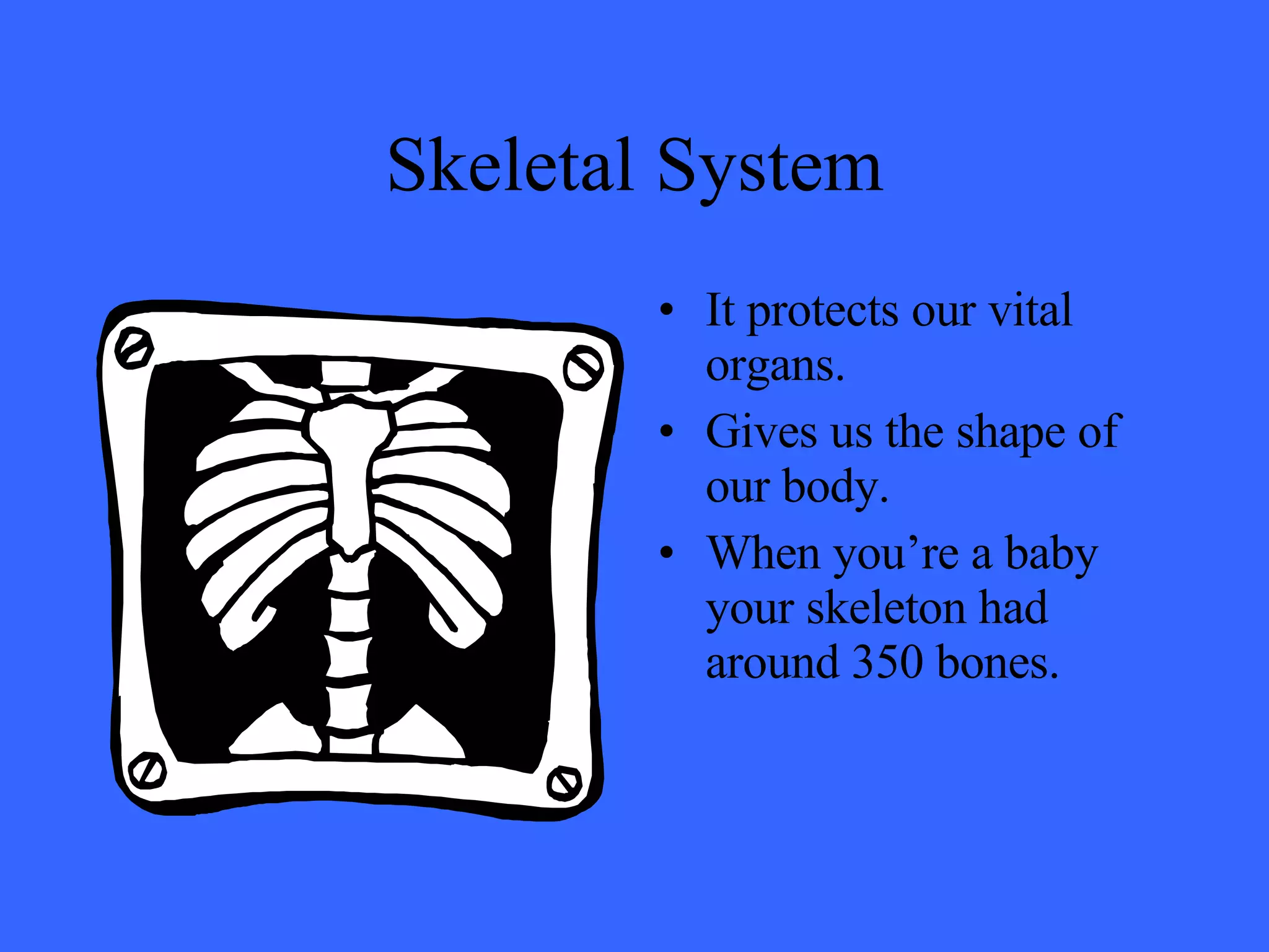 Muscular Skeletal System | PPT