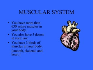 Muscular Skeletal System | PPT
