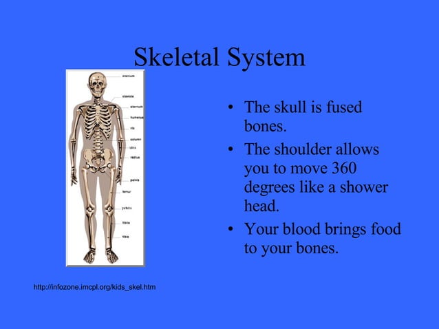Muscular Skeletal System | PPT | Bone and Joint Conditions | Diseases ...