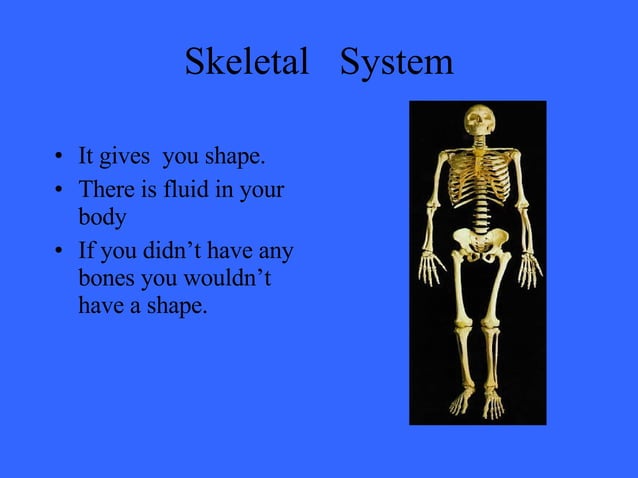 Muscular Skeletal System | PPT | Bone and Joint Conditions | Diseases ...