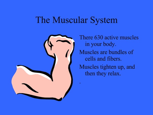 Muscular Skeletal System | PPT | Bone and Joint Conditions | Diseases ...