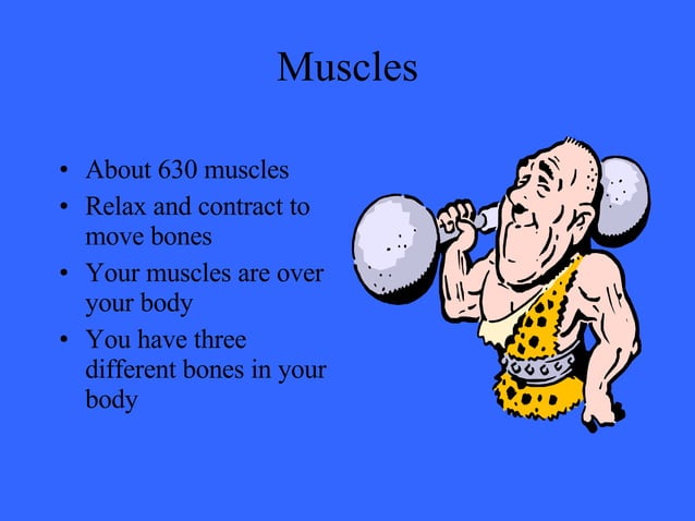 Muscular Skeletal System | PPT | Bone and Joint Conditions | Diseases ...