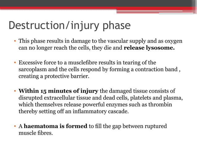 muscular strain and contusion.pptx. . | PPT