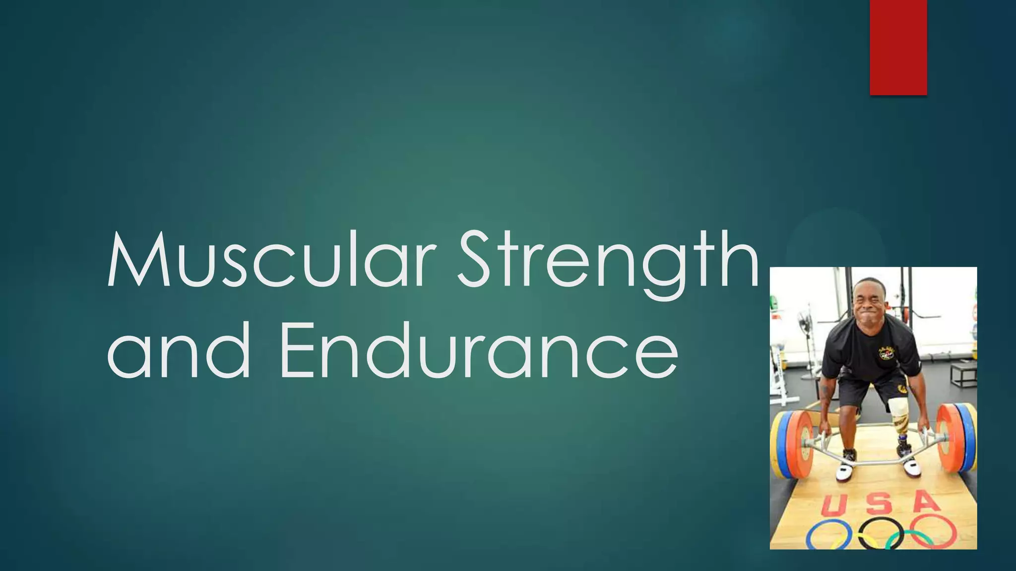 Muscular strength and endurance powerpoint | PPTX