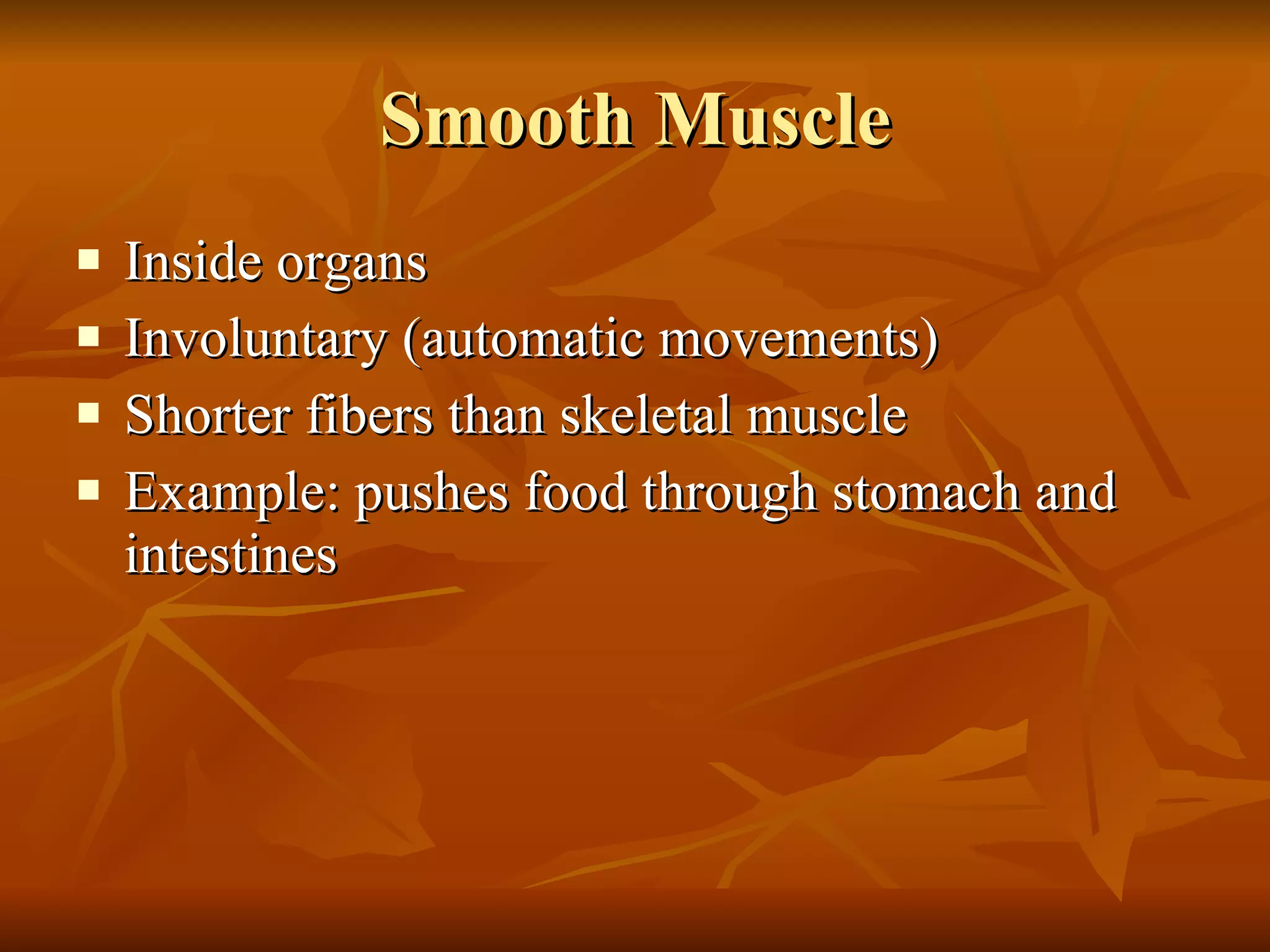 Muscular System | PPT