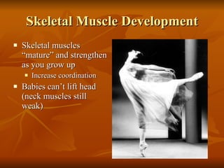 Muscular System | PPT