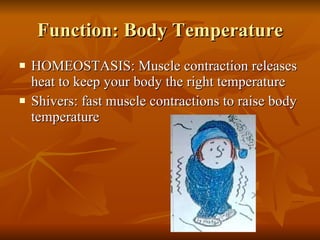 Muscular System | PPT