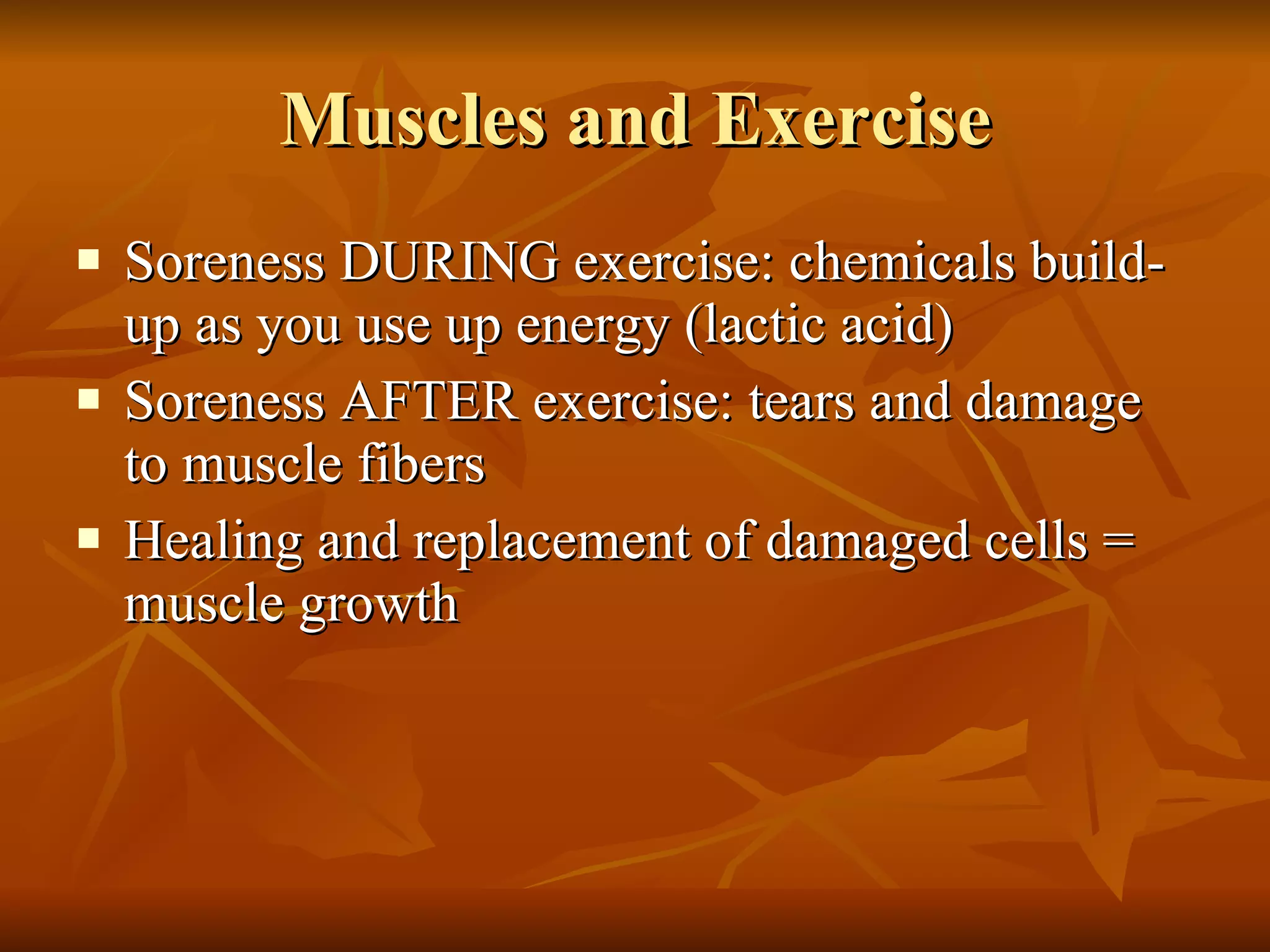 Muscular System | PPT