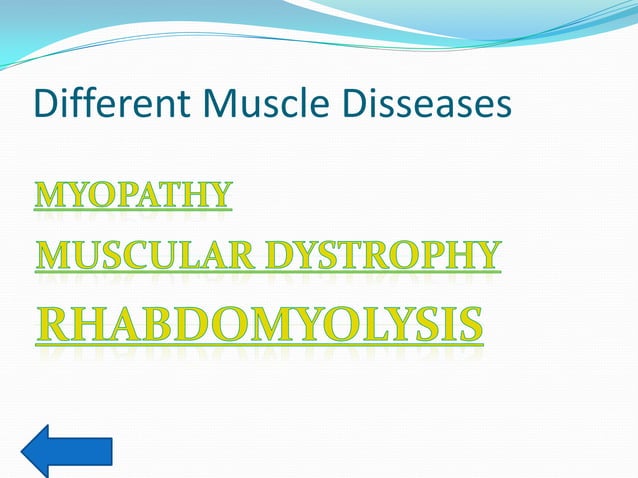 Muscular System | PPTX | Physical Therapy | Wellness