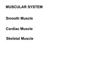 Muscular System | PPTX