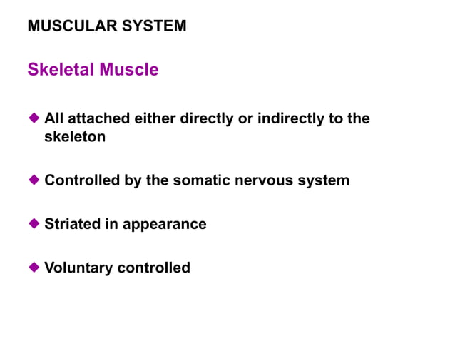 Neuromuscular System | PPTX
