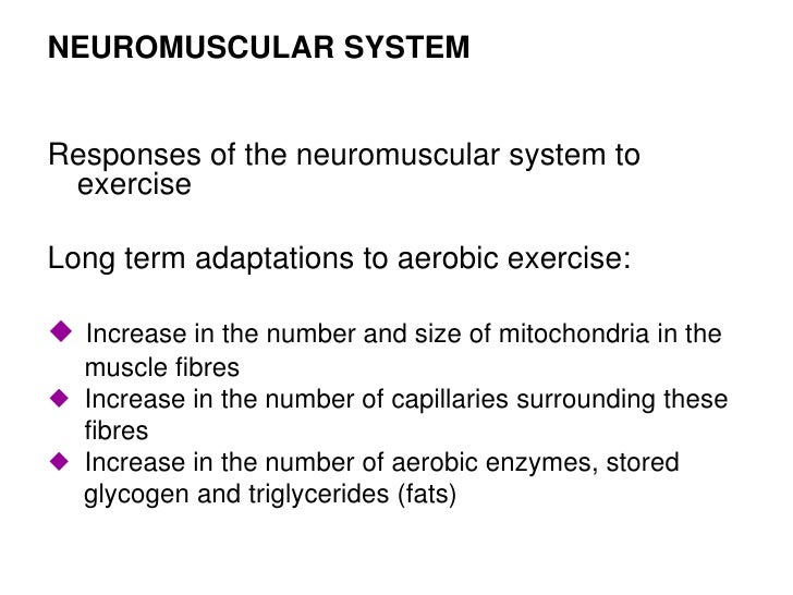 Neuromuscular System