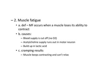P&A - Muscular system | PPTX