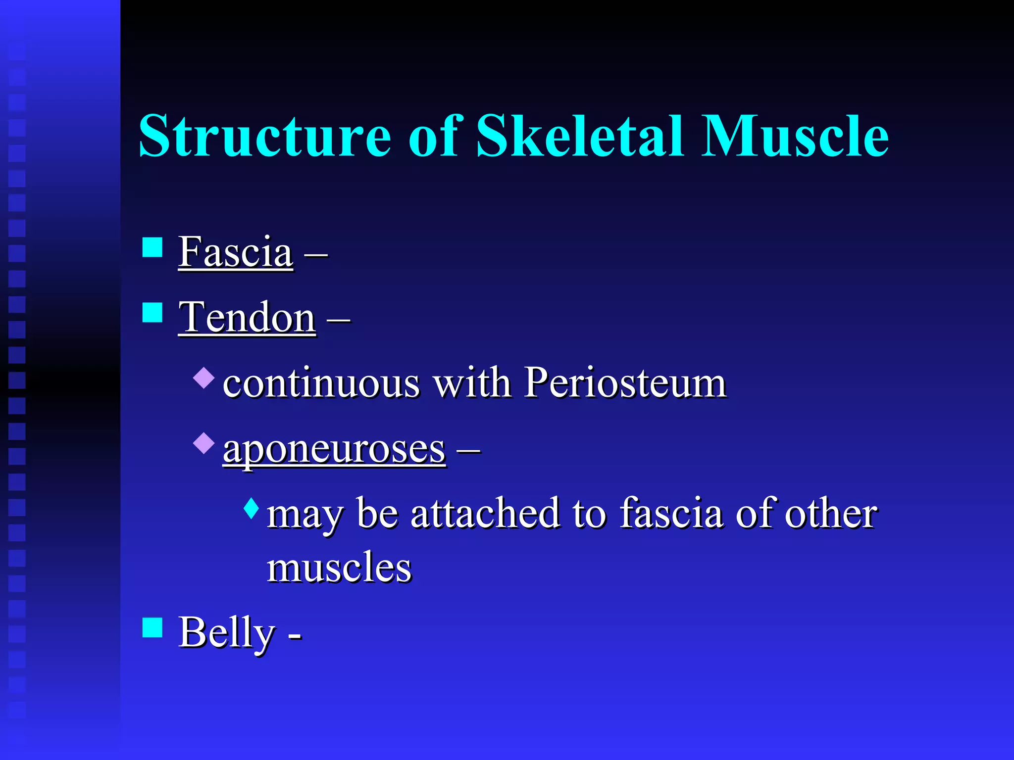 Muscular system | PPT | Biological Sciences | Science