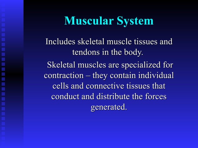 Muscular system | PPT | Biological Sciences | Science