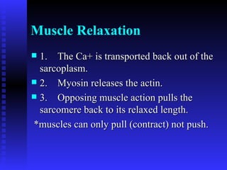 Muscular system | PPT | Biological Sciences | Science