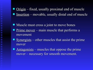 Muscular system | PPT | Biological Sciences | Science