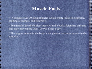 Muscular system | ODP