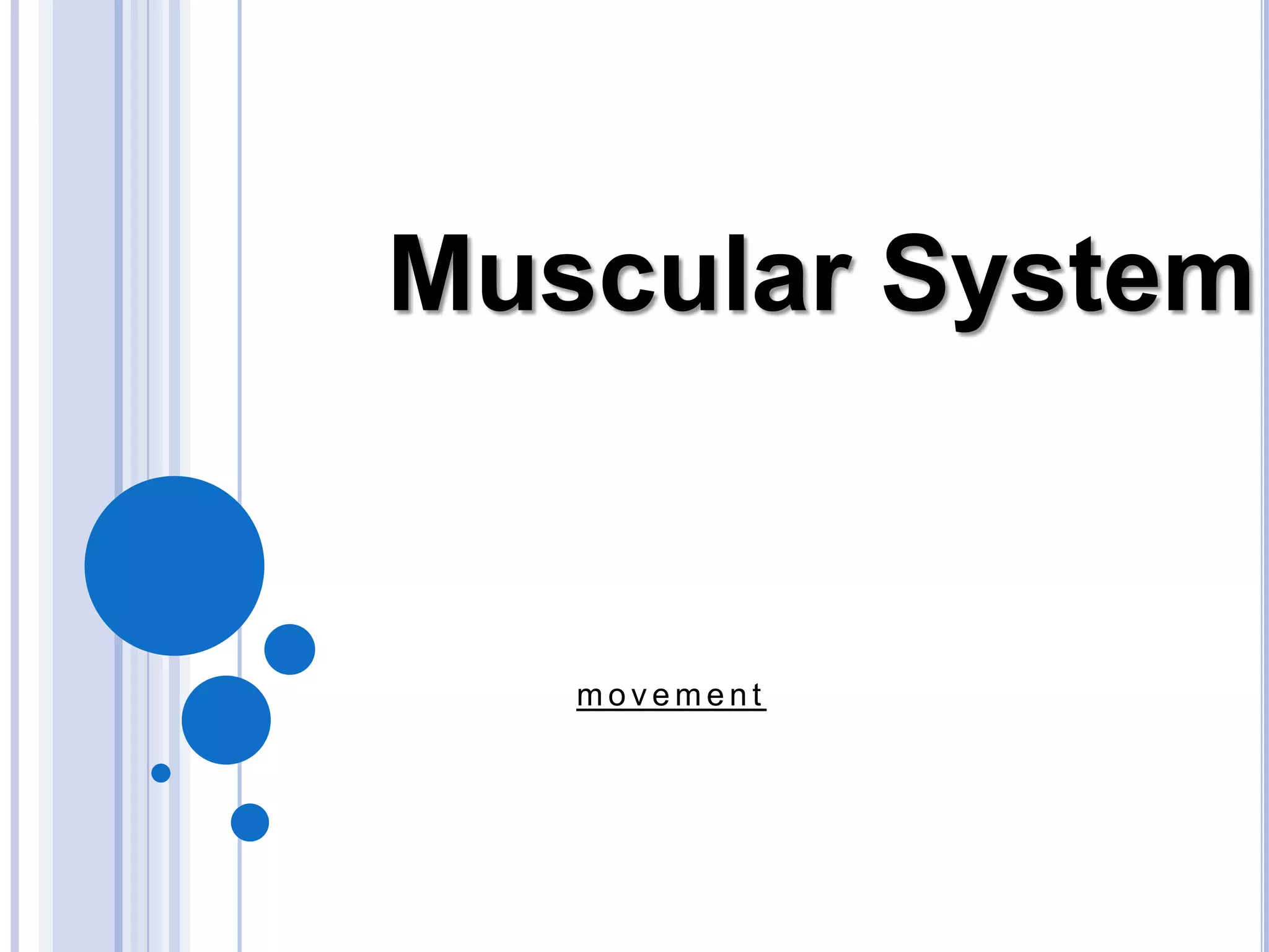 Muscular system | PPSX
