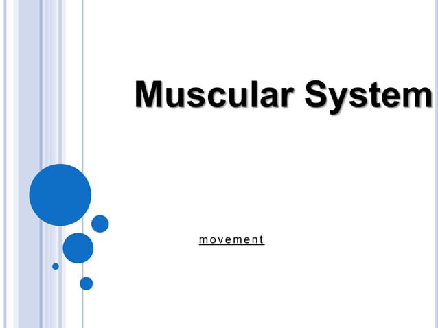 Muscular system | PPSX