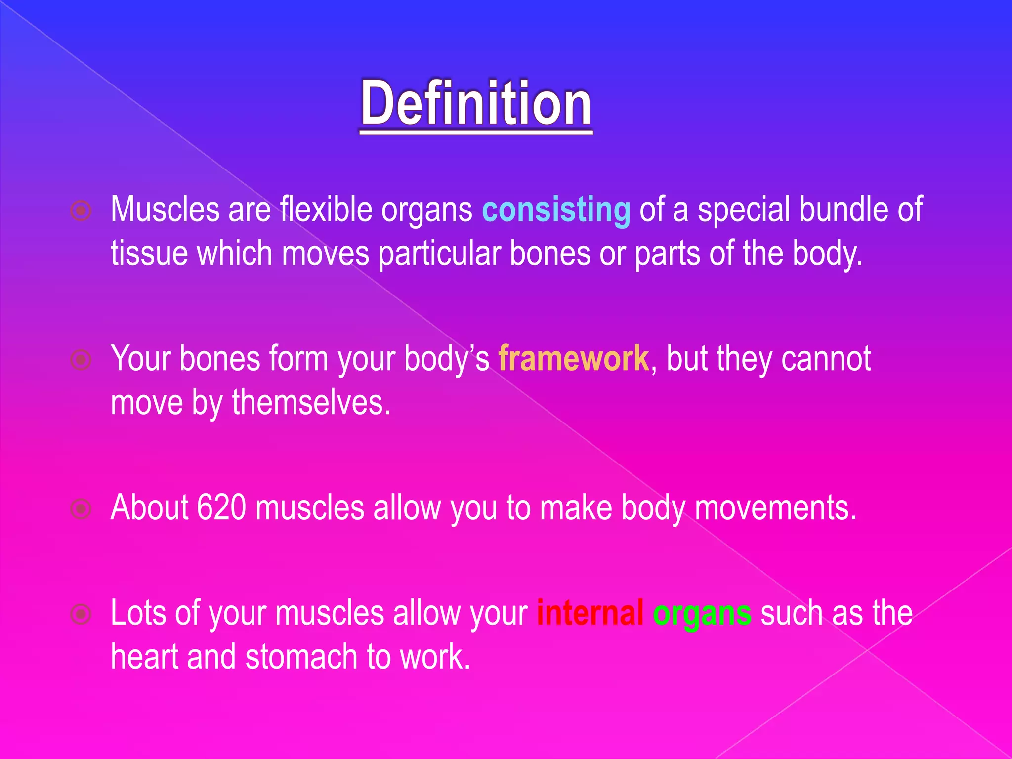 Muscular system | PPTX