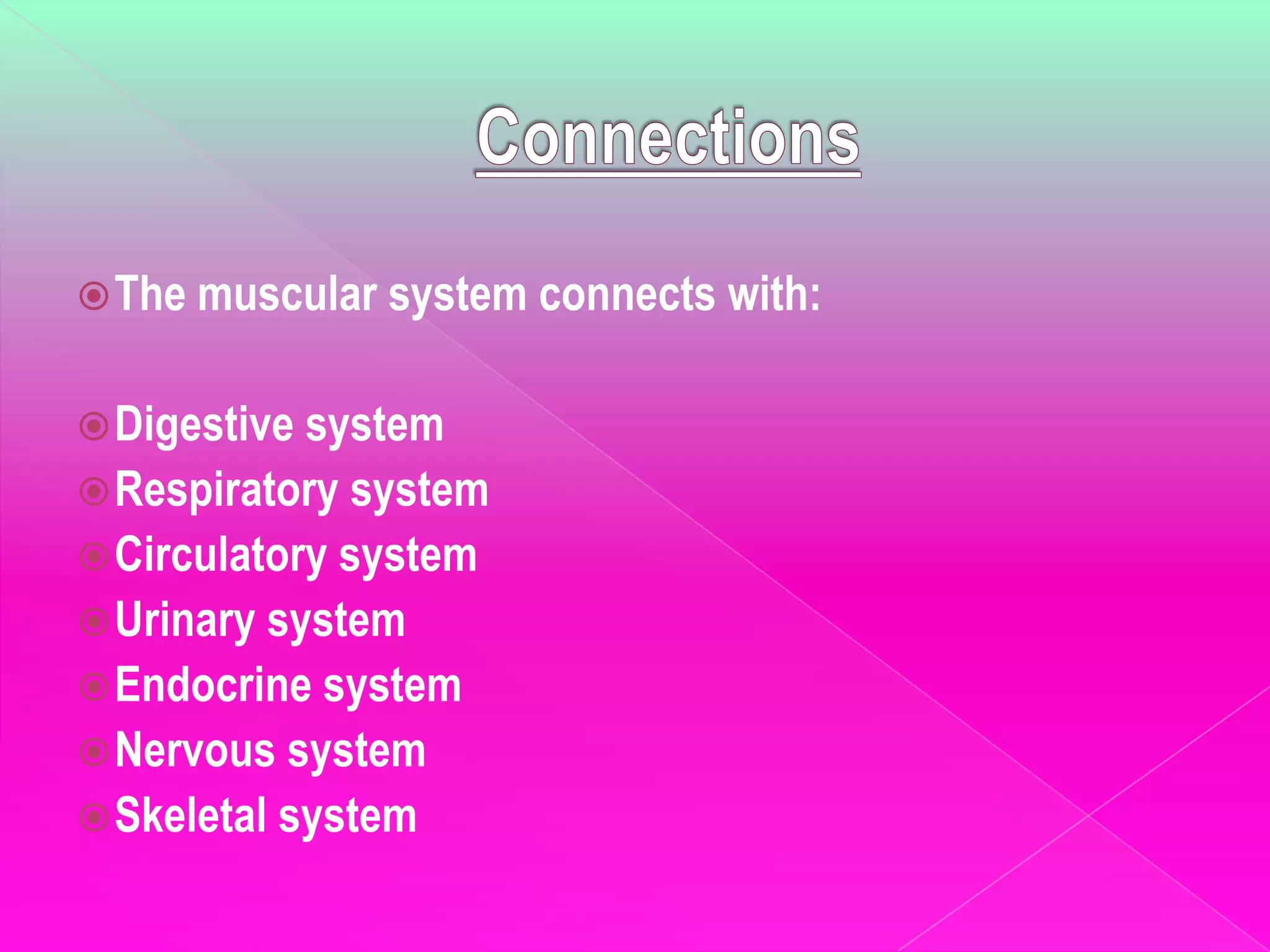 Muscular system | PPT
