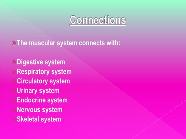 Muscular system | PPT