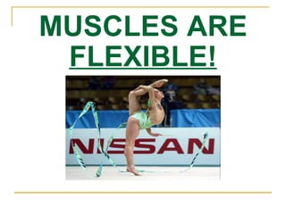 Muscular system | PPT
